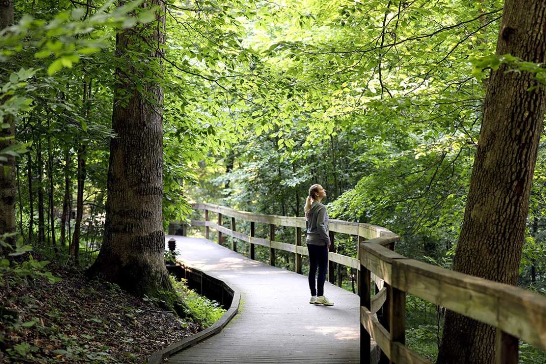 Attractions - Mammoth Cave Online